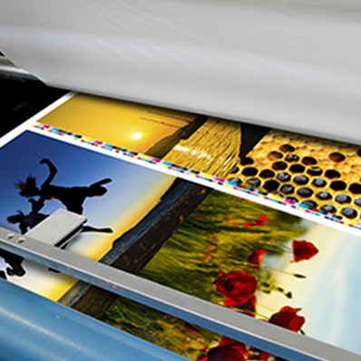 Best Canvas Printing | Quality Canvas Prints | CanvasChamp